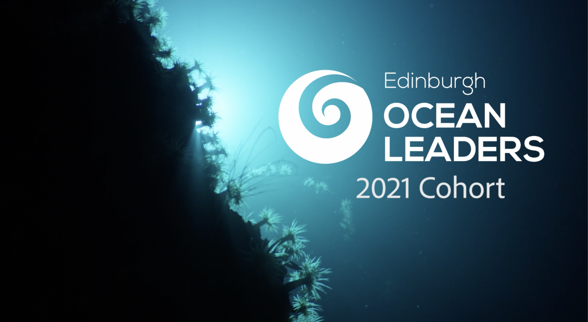 Meet the 2021 Edinburgh Ocean Leaders – oceanleaders